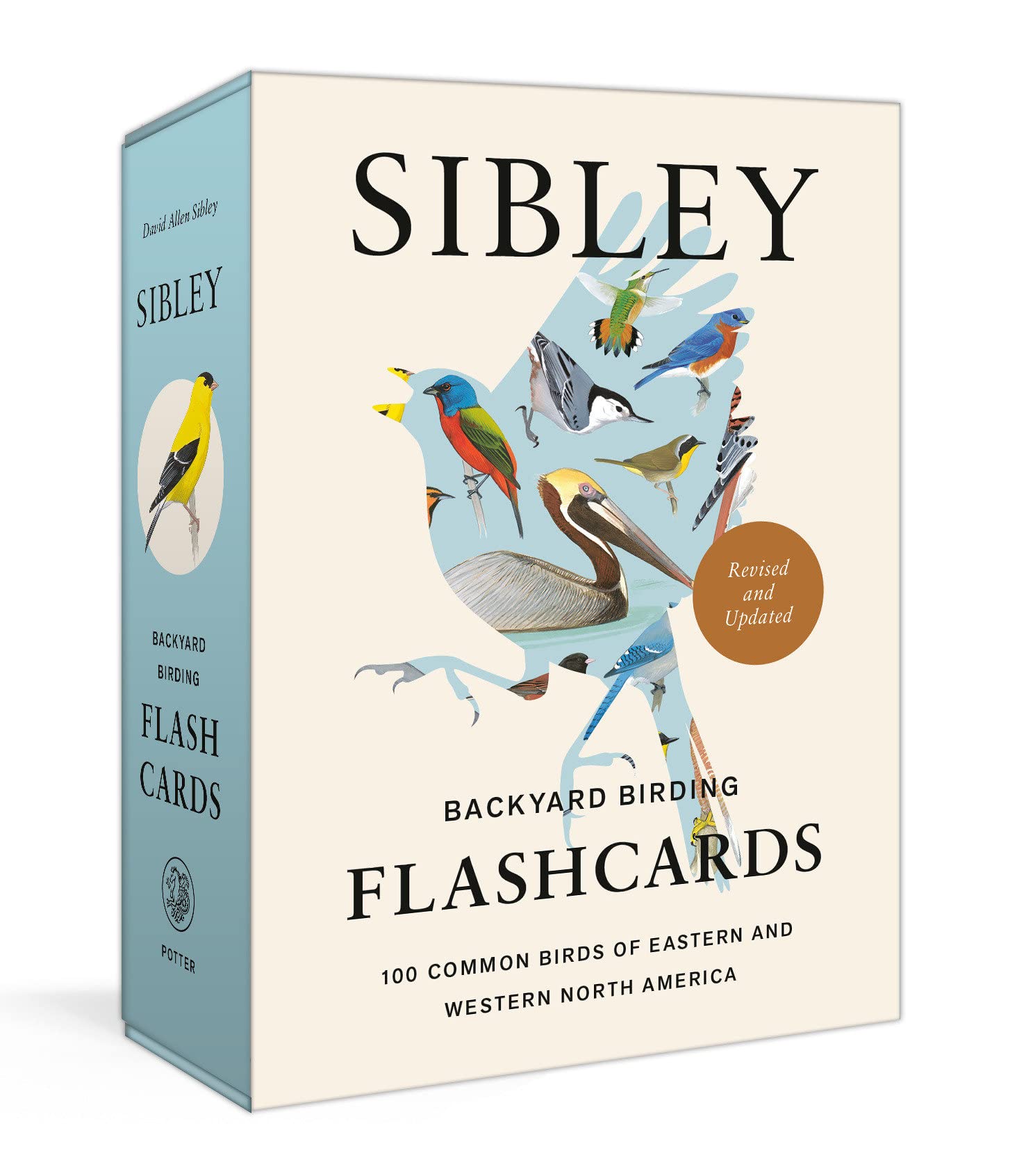 Sibley Birding Flashcards - Revised