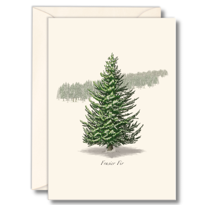 Frasier Fir Boxed Notes