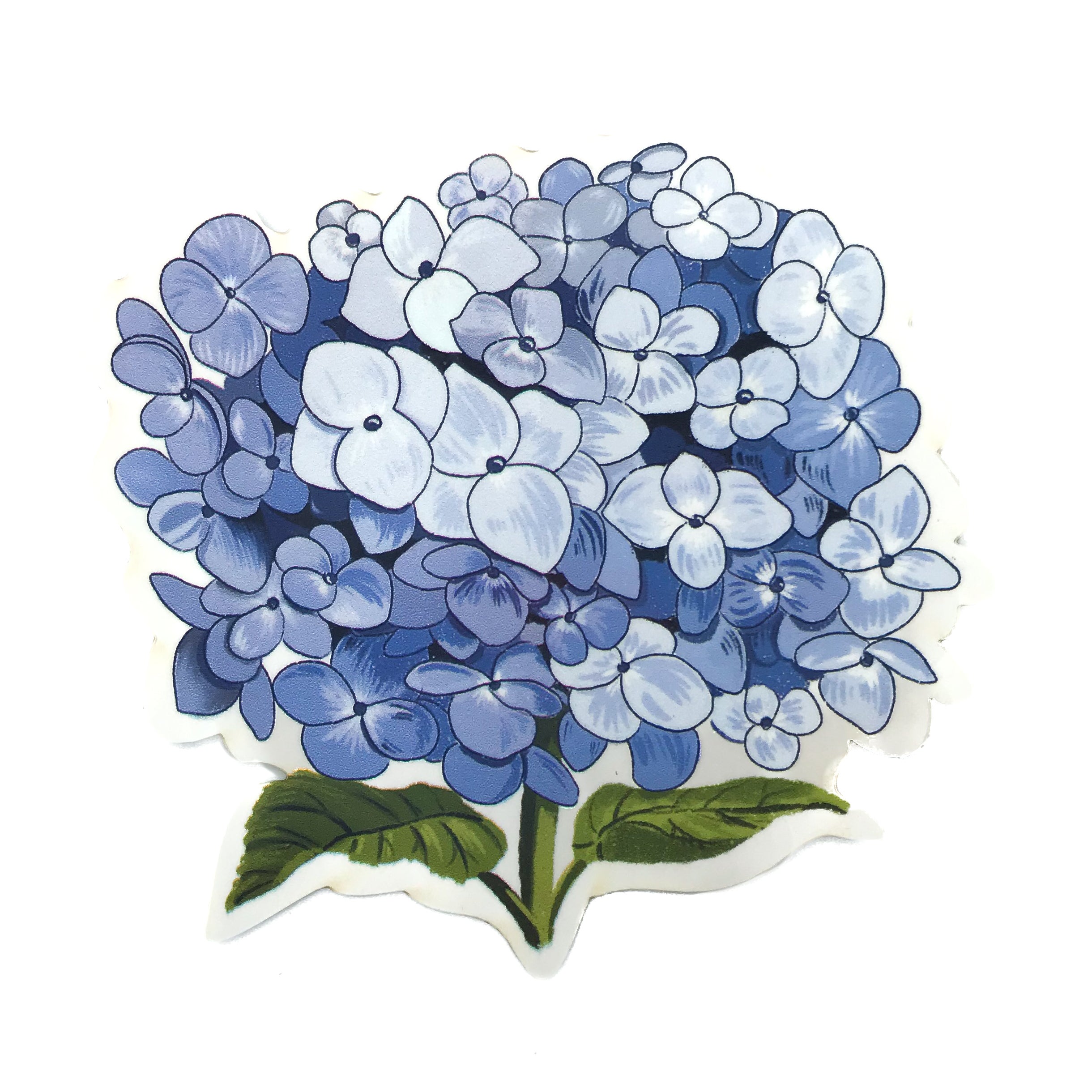 Blue Hydrangea Sticker