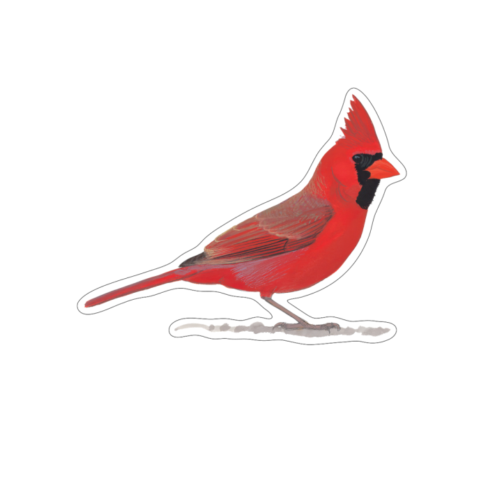Cardinal Sticker