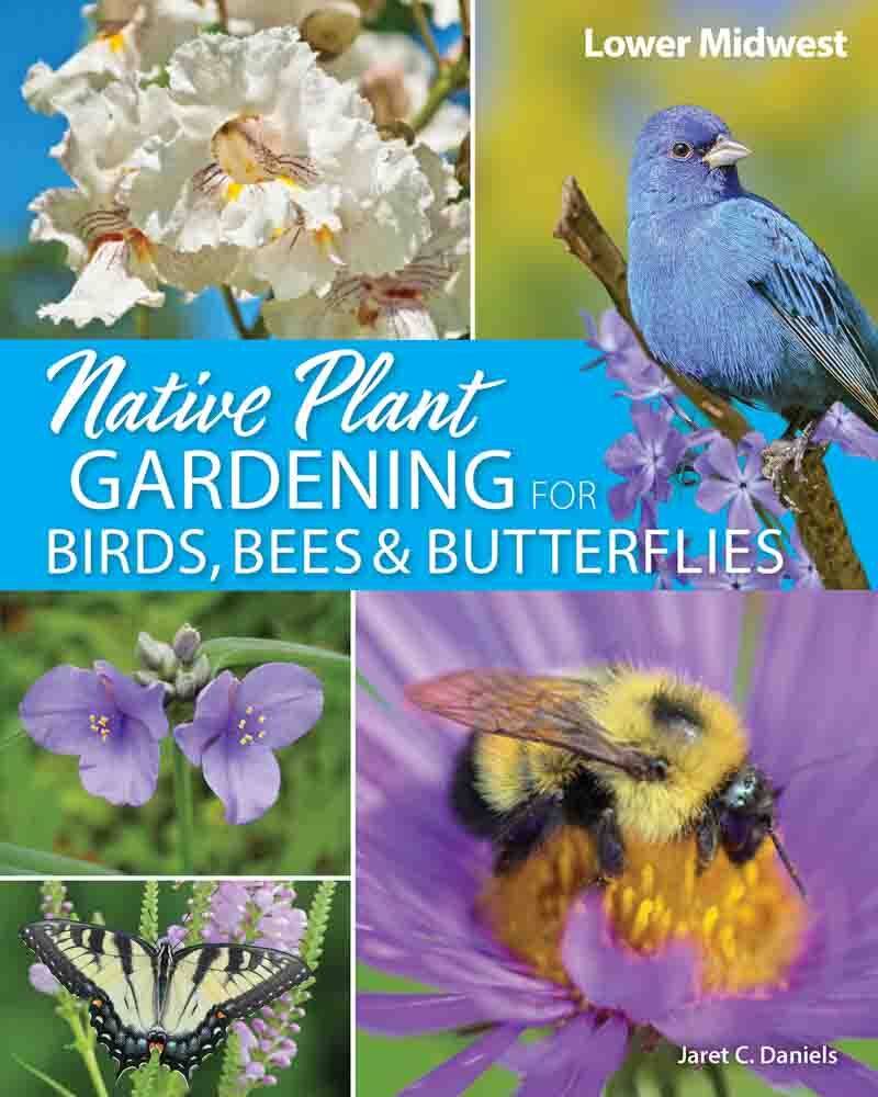 Native Plant Gardening for Birds Lower Midwest