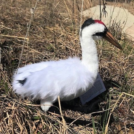 Willy the Whooping Crane Plush