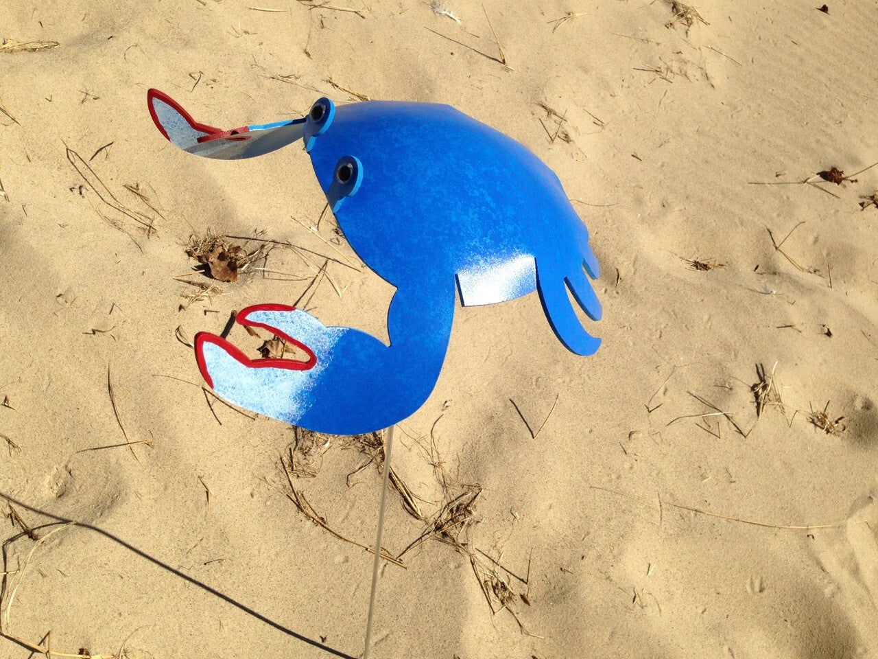Dancing Blue Crab