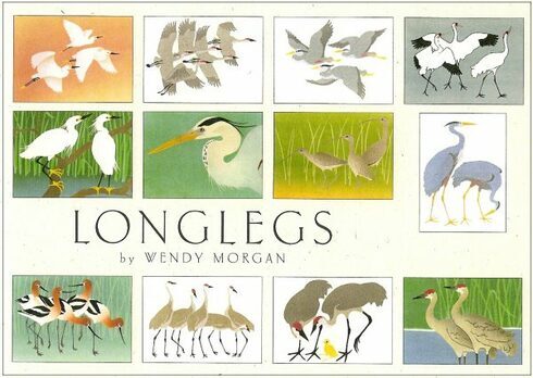 Longlegs Assorted Card Pack