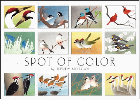 Spot of Color Assorted Card Pack